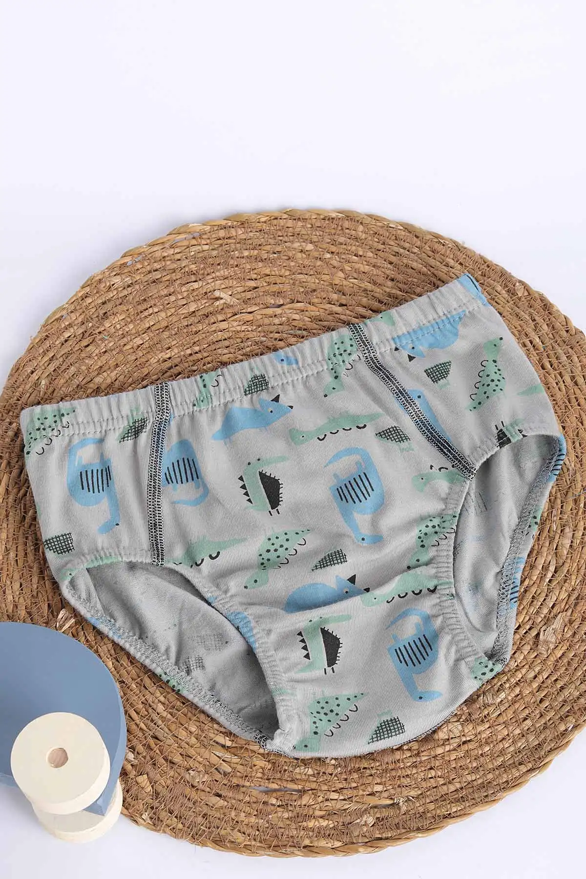 Gri (2-11 Yaş) Baskılı Lastik Erkek Çocuk Kilot 315564