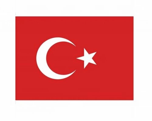 10'lu Büyük Türk Bayrak 25*35 303538